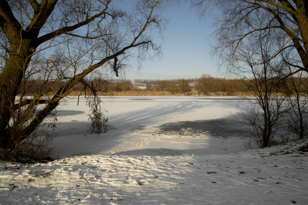 4-Step Guide To Making Dry Ice At Home
